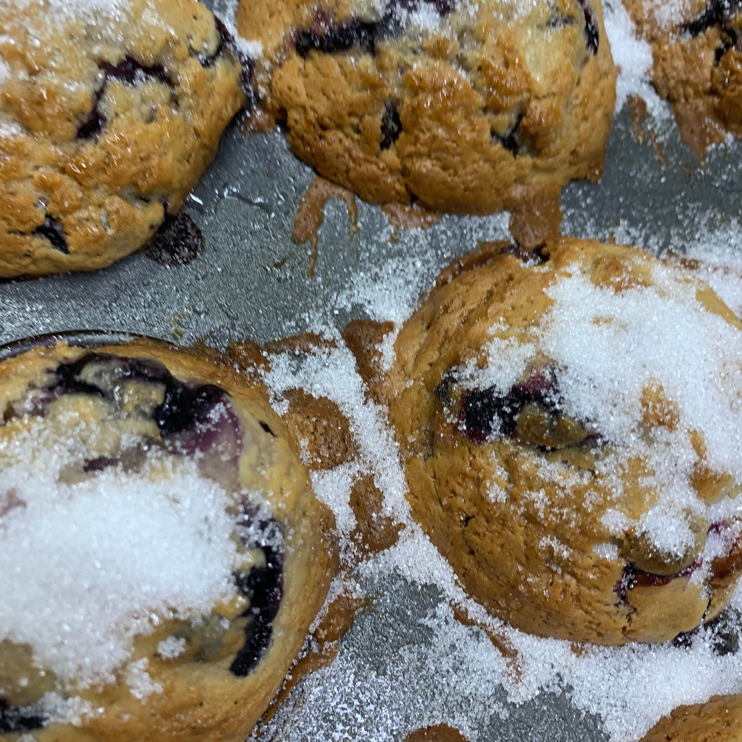 6 Muffins | Aida's Bakery Hartville OH